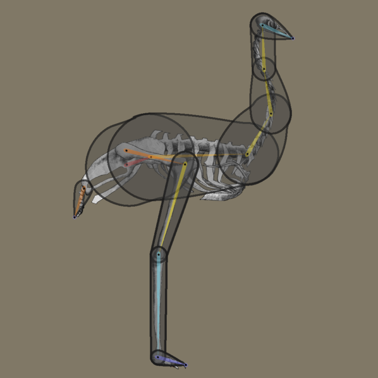 Duik Tutorials – RxLaboratory